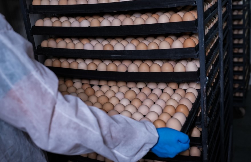 Our Units|Perfect Poultry