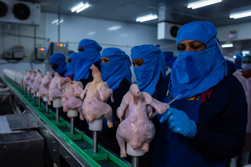 About Us|Perfect Poultry